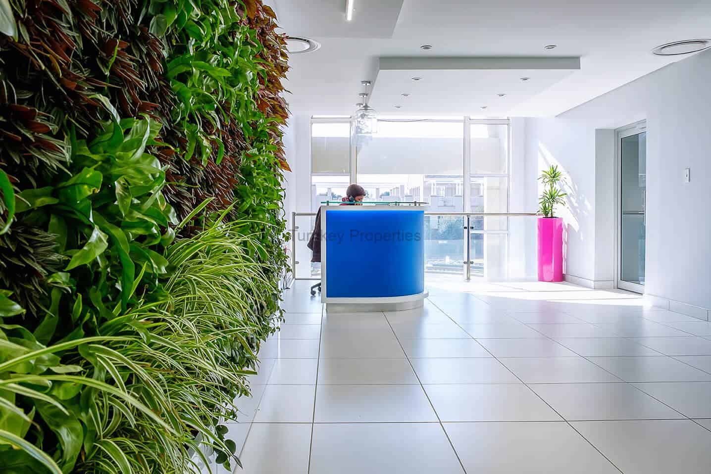 Space Planning and Design - TurnSpace